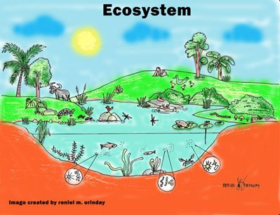 Ecosystems: What You Need to Know - science